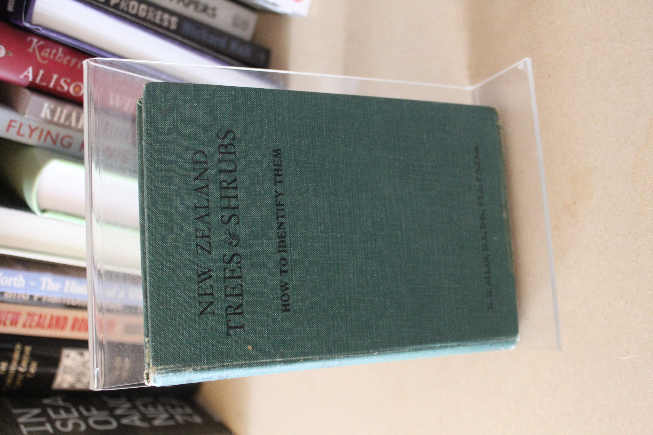 New Zealand Trees and Shrubs and How to Identify Them