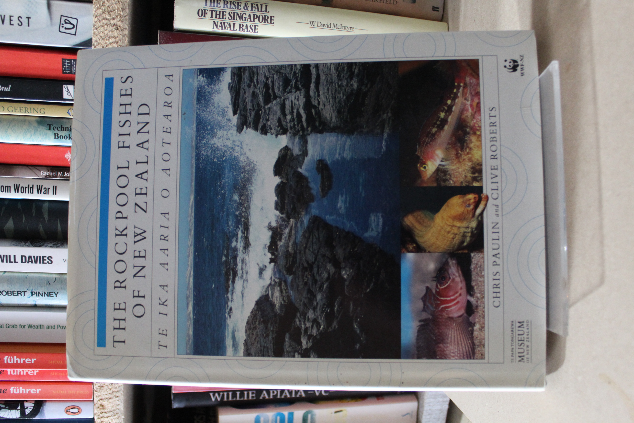 The rockpool fishes of New Zealand =: Te ika aaria o Aotearoa