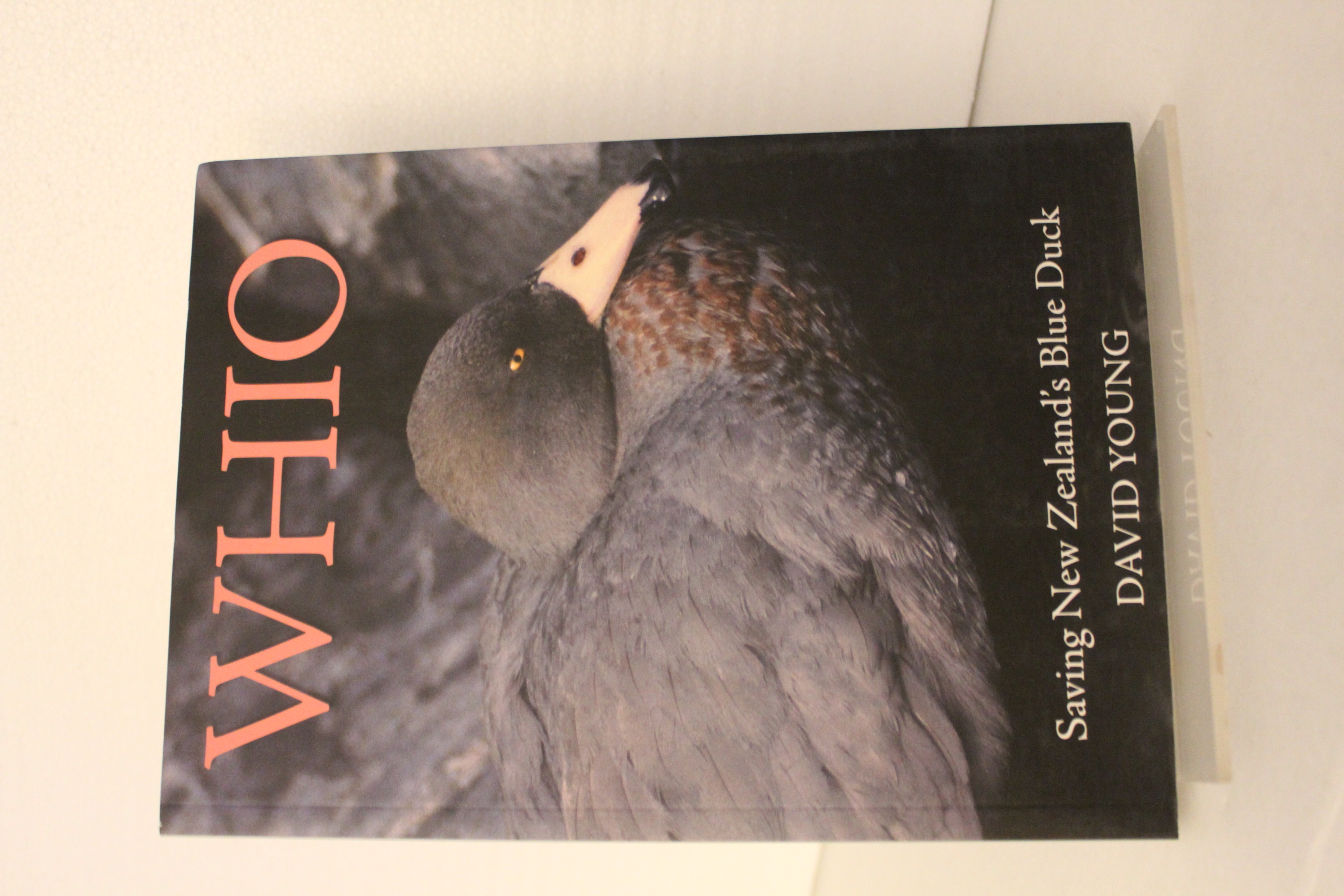 Whio: Saving New Zealand's Blue Duck