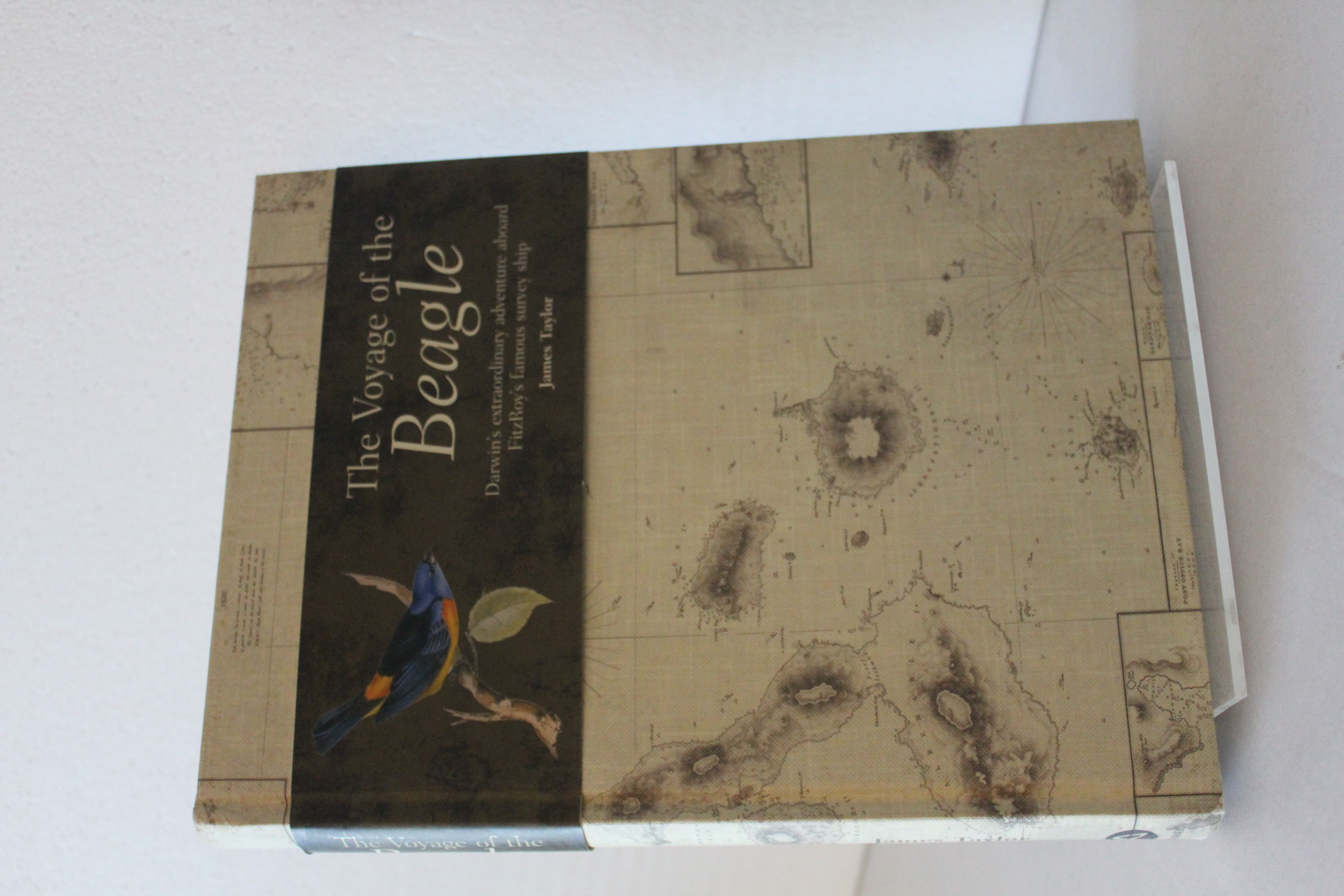 The Voyage of the Beagle: Darwin's Extraordinary Adventure in Fitzroy's ...