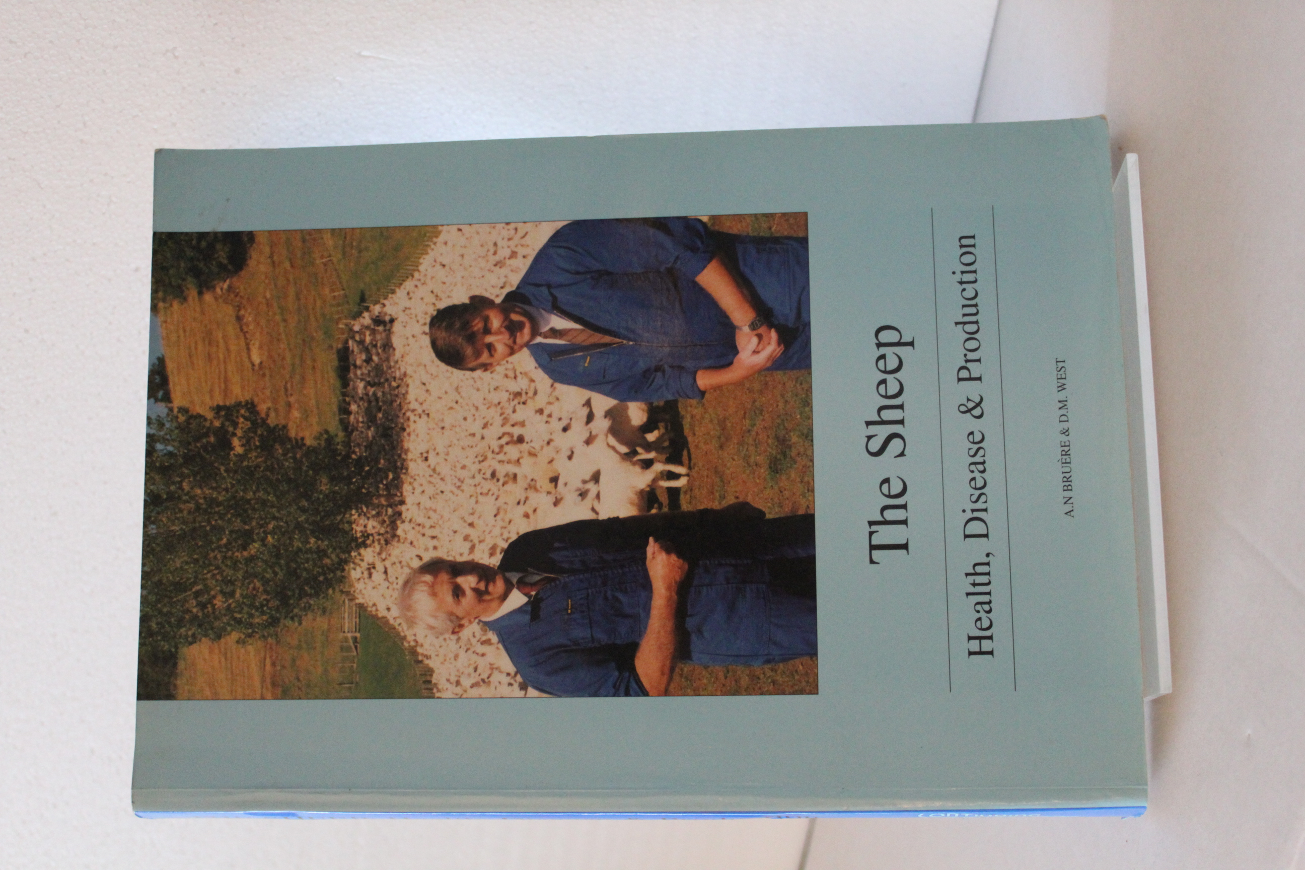 The Sheep: Health, Disease & Production Written for Veterinarians and ...