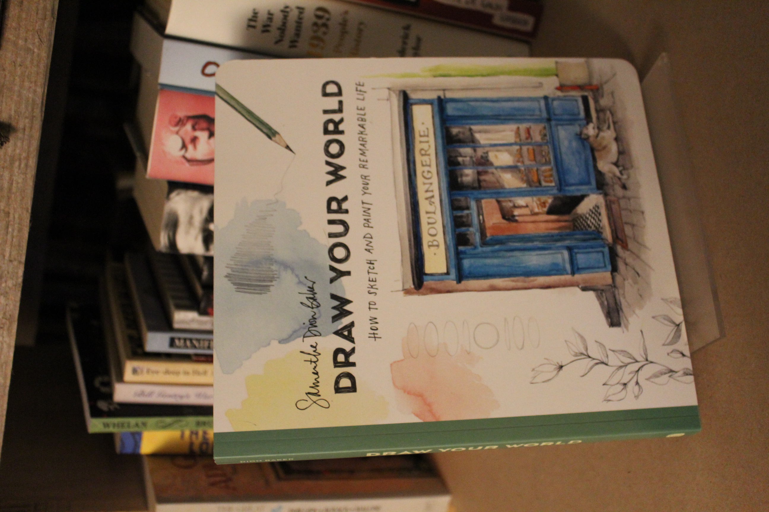 Draw Your World: How to Sketch and Paint Your Remarkable Life