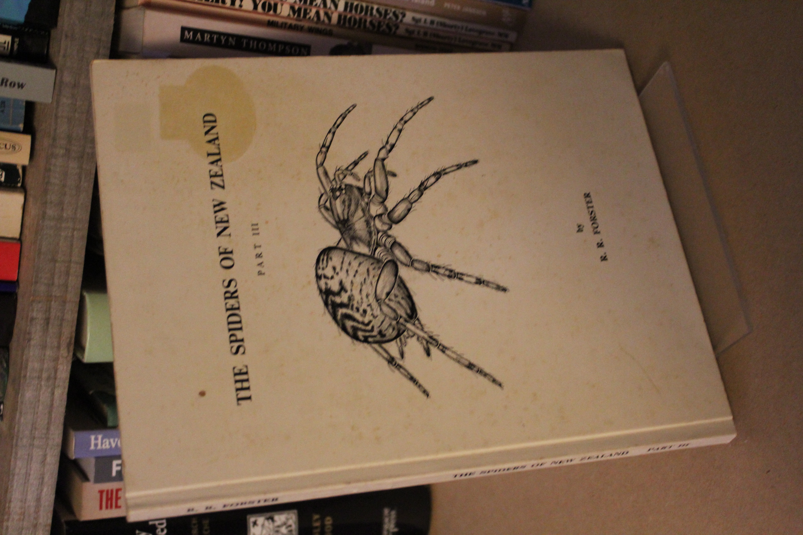 The Spiders of New Zealand Part III Desidae, Dictynidae, Hahniidae ...